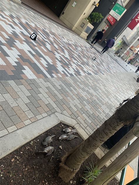 唸声事件現場のストリートビュー／渋谷にハトが落ちてきた・・・ 唸声の気になるニュースとストリートビュー