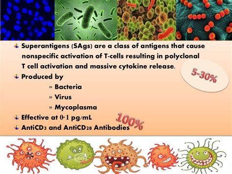Superantigen