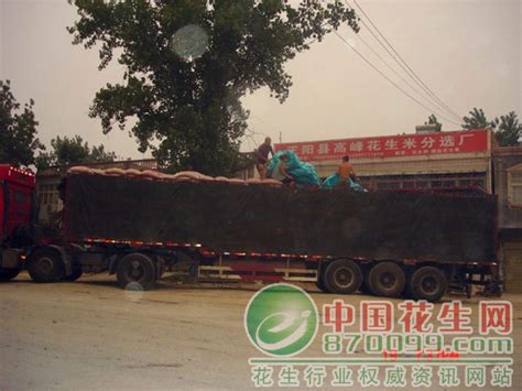 河南正阳县高峰花生米分选厂中国花生网超级供应商业务办理15007080099