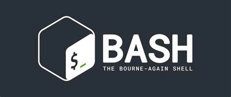 Automating User Creation And Management With A Bash Script Dev Community