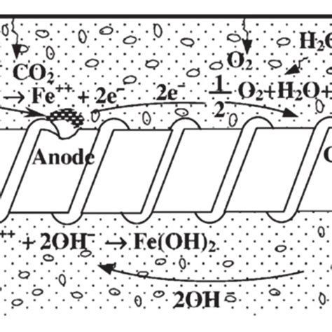 Schematic Representation Of The Corrosion Of Reinforcement Steel In