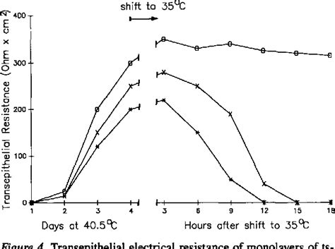 Figure 4 From Loss Of Epithelial Differentiation And Gain Of