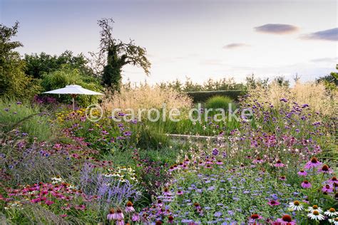 Carole Drake Blog Garden Photography