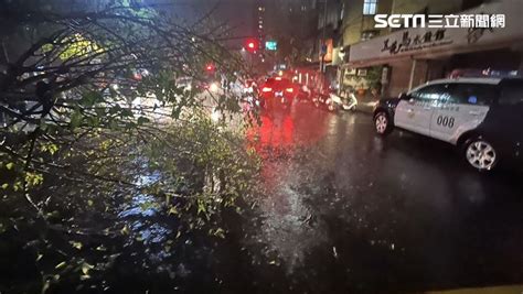 新／暴雨＋颳風！北市松山區路樹倒塌 1女騎士被壓傷送醫 社會 三立新聞網 Setncom