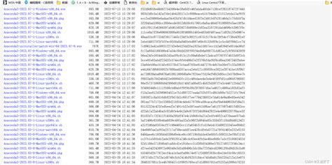 在linux环境下搭建ananconda，并且搭建python环境linux中使用conda安装python解释器 Csdn博客