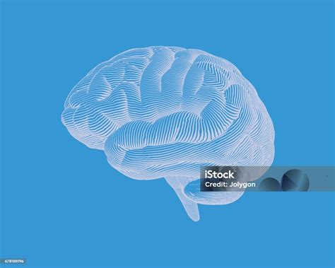 블루 Bg에 두뇌 그림 조각 가장자리에 대한 스톡 벡터 아트 및 기타 이미지 가장자리 건강관리와 의술 골동품 Istock