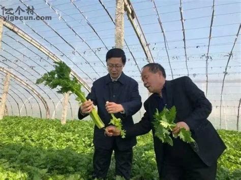 图片 陕西省西安市高陵区通远镇何村