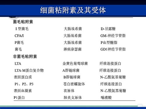 曾 蔚 华西基础医学与法医学院 微生物学教研室 Ppt Download