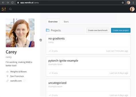 Projects Weights Biases Documentation