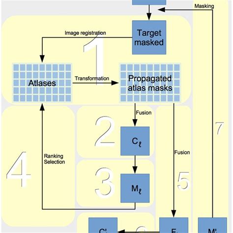 Sample Images Chosen Randomly From Each Dataset Images Were Visually