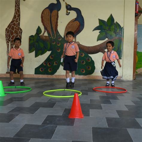 Gallery Daisy Flower High School