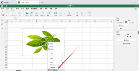 Speedoffice（excel）如何对图片进行水平翻转excel做好的图可以翻转吗 Csdn博客