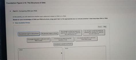 Solved Foundation Figure The Structure Of DNA Part H Chegg