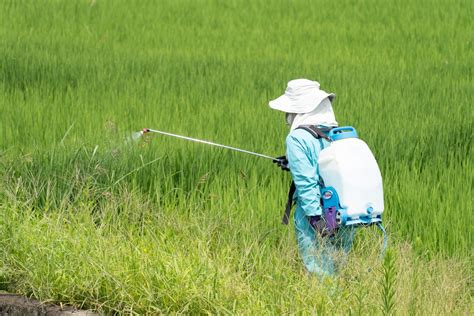 いまさら聞けないカメムシの効果的な駆除・予防方法。独特な悪臭への対処法も解説！｜マイナビ農業