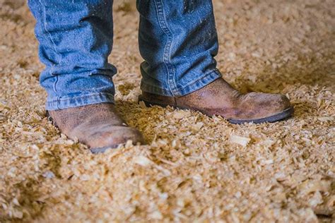 Top 10 Tips For Composting Poultry Litter Better Chicken Houses