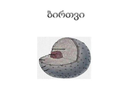 უჯრედის აგებულება
