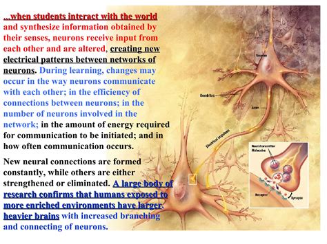 Perceptioncognitionworldviews Ppt
