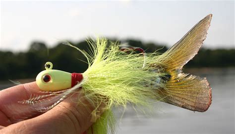 Isca Artificial Jigs Tipos Para Que Serve Pega Quais Peixes E