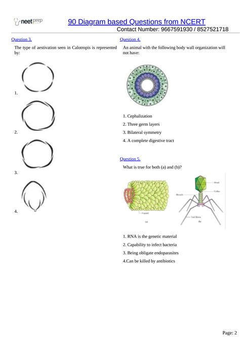 SOLUTION Diagram Based Questions From Ncert Studypool