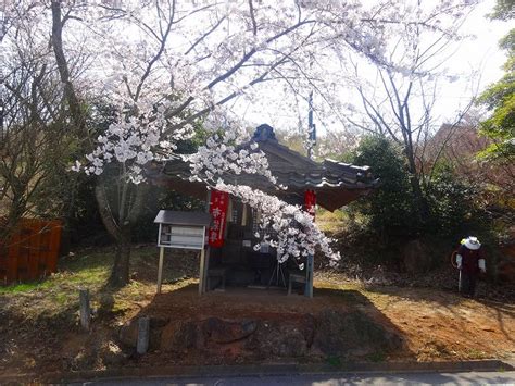 美星七福神四番宇土布袋尊 井原市美星町宇土 2014 桜さくら花見名所名勝景勝地