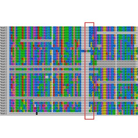 The Region Of The Ifnar2 Ifngr1 Alignment Around W102 Notable Is The Download Scientific