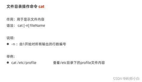 Linux介绍及命令的使用 Csdn博客
