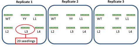 What Is “experimental Unit” “replicate” “total Sample Size” “treatment Size”