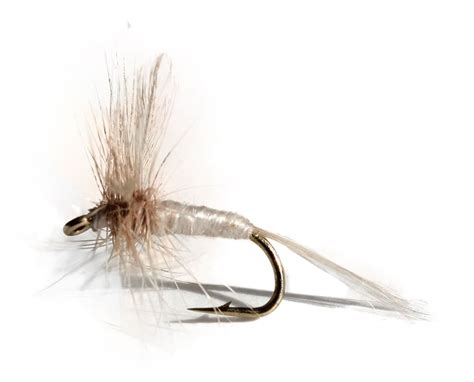 pmd emerger fly patterns at anthony griggs blog