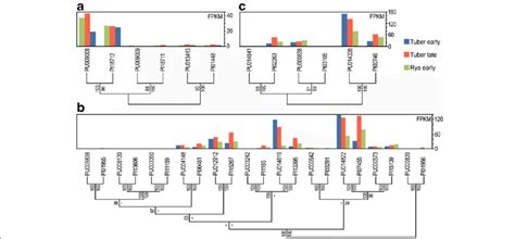 Examples Of Conserved And Discordant Expression Patterns Within