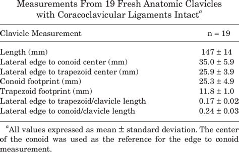 Structure Of Coracoid Process Of Scapula Semantic Scholar