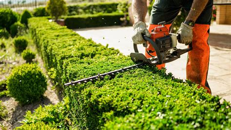 Travaux De Jardinage La Case à Cocher Sur Votre Déclaration Pour