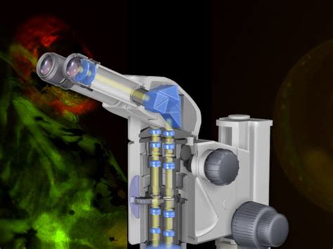 Stereomicroscopy Nikons Microscopyu