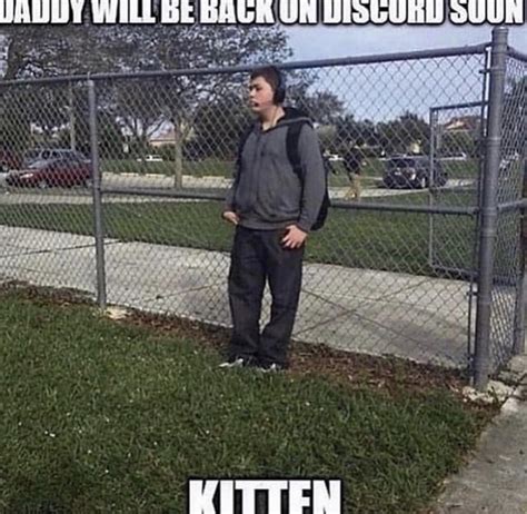 Daddy Will Be Back On Discord Soon Kitten Rswalliance