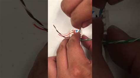 How To Terminate Cat5 Cat6 Network Cable THE EASY WAY YouTube