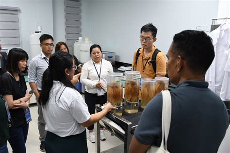 Bureau Of Plant Industry Added Bureau Of Plant Industry
