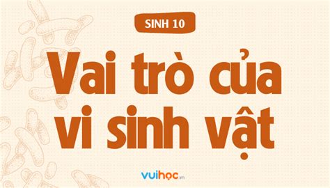 Vi Sinh Vật Vai Trò Của Vi Sinh Vật Trong Thực Tế đời Sống