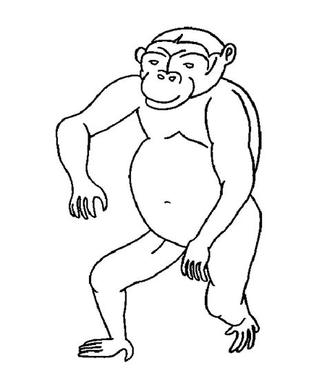 Dibujos para colorear de Monos para imprimir Páginas de Monos para