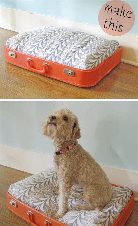 26 Best Diy Pet Bed Ideas And Designs For 2024