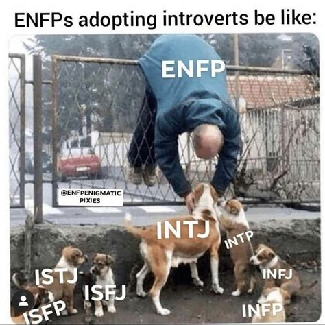 Mbti Memes R Mbti Mems
