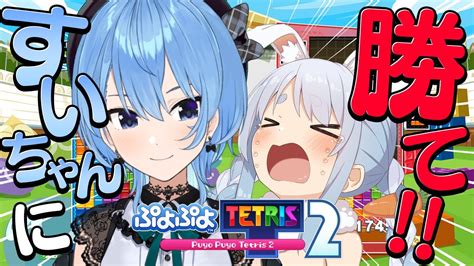 【ぷよテト2】星街すいせいにテトリス勝ったら告知！！！！！！！！！！！ぺこ！【ホロライブ兎田ぺこら】 Youtube