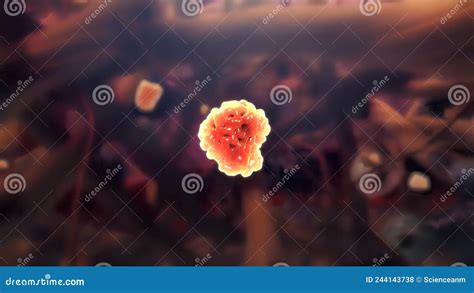 Connective Tissue Growth Factor Promotes The Proliferation And