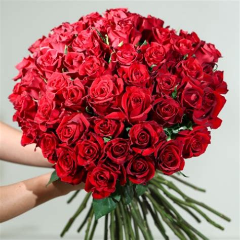 Send Our 50 Red Roses To Qatar