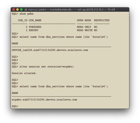 Oracle Cloud Infrastructure Post Connecting To Server SSH And To Database Oracle Client