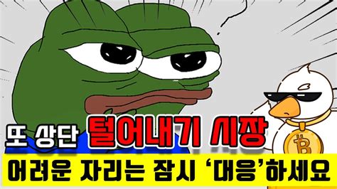 고점 05 갱신하고 조정 받는 비트코인 대응비트시황 Youtube