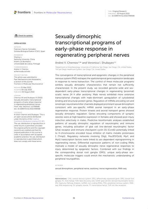 Pdf Sexually Dimorphic Transcriptional Programs Of Early Phase