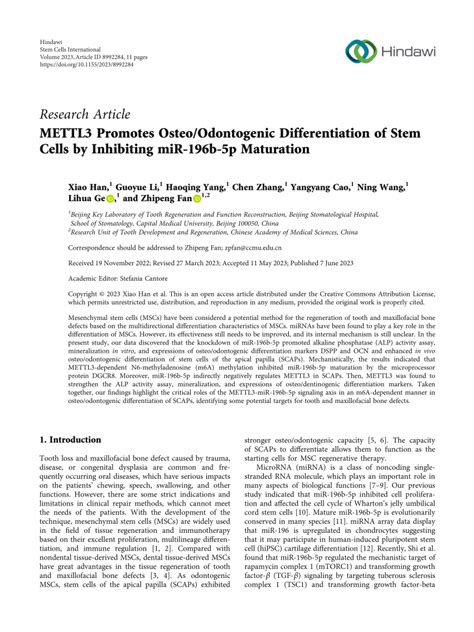 Pdf Mettl3 Promotes Osteoodontogenic Differentiation Of Stem Cells