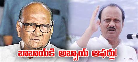 Pawars Secret Meeting పవార్‌ల రహస్య భేటీపై కాంగ్రెస్‌ ఆందోళన బాబాయ్