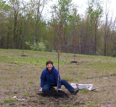 Tree Planting Espy Run Ec And Pec Earth Conservancy