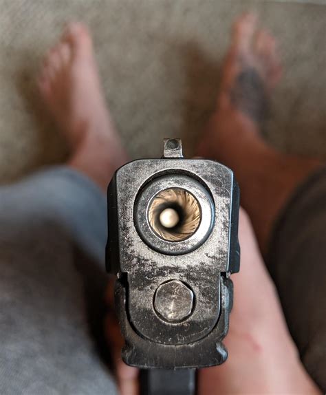 Overview For Apocalyptic Squirrel