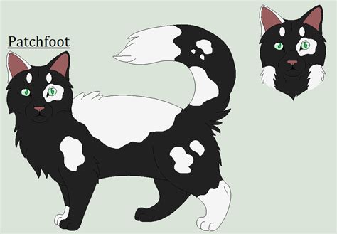 Patchfoot By Hawkpath123 On Deviantart